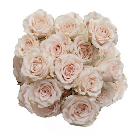 Vorrat Schnittblumen