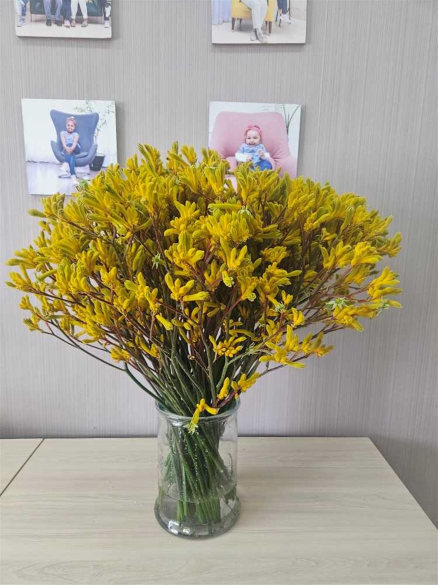 Vorrat Schnittblumen